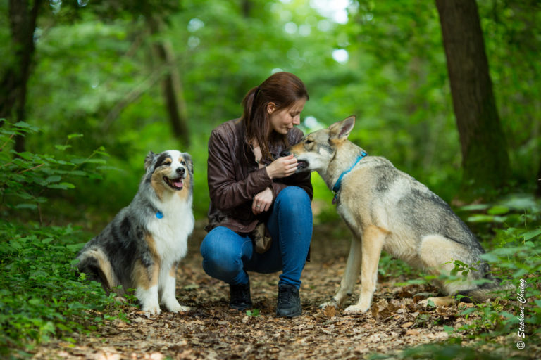 Nos articles - L'Agence tous chiens